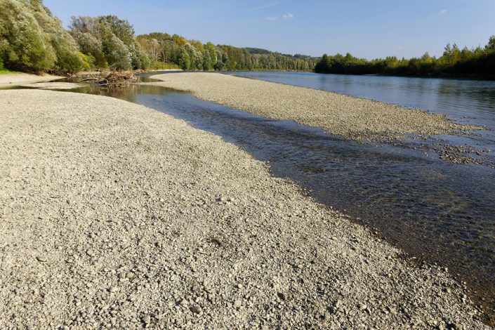 Drava river - Drava Life